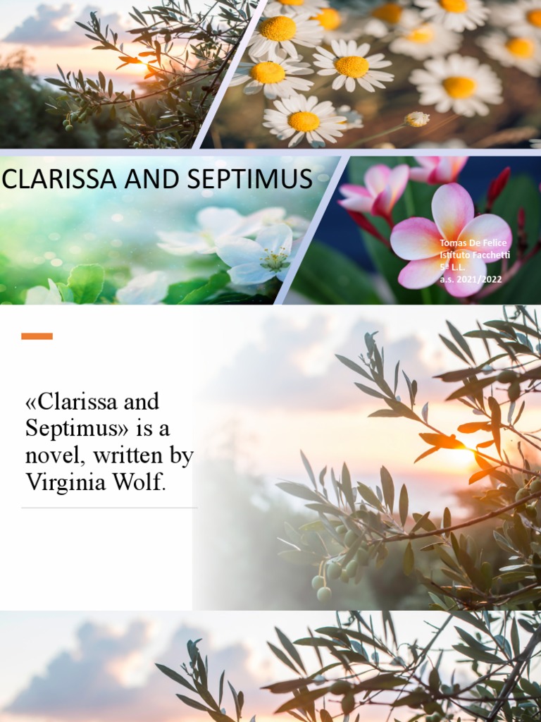 Clarissa and Septimus | PDF | Mrs Dalloway | Psychology