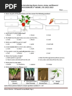 Grade 1 Living and Nonliving Things Science Printable Worksheet 2 | PDF