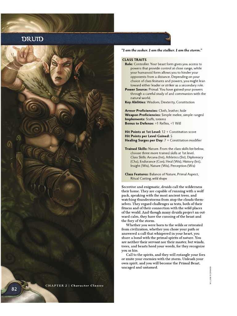 Druid | PDF