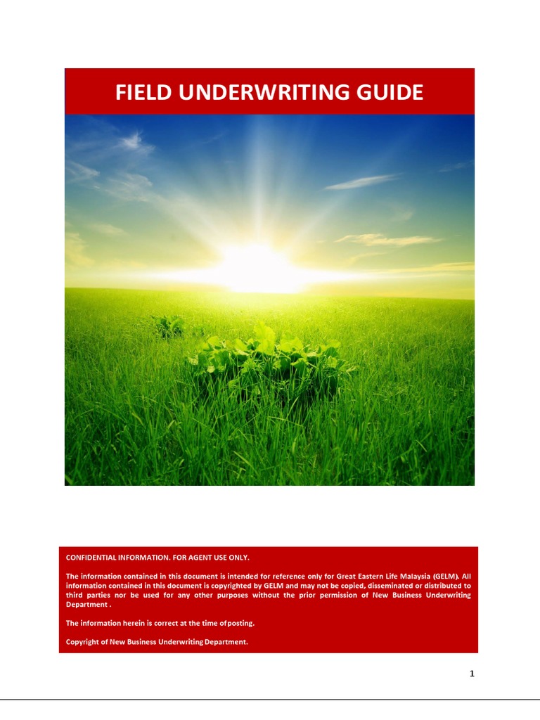 Underwriting Guide | PDF | Insurance | Employment