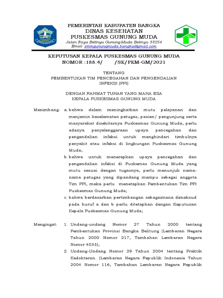 SK Tim PPI 2021 | PDF