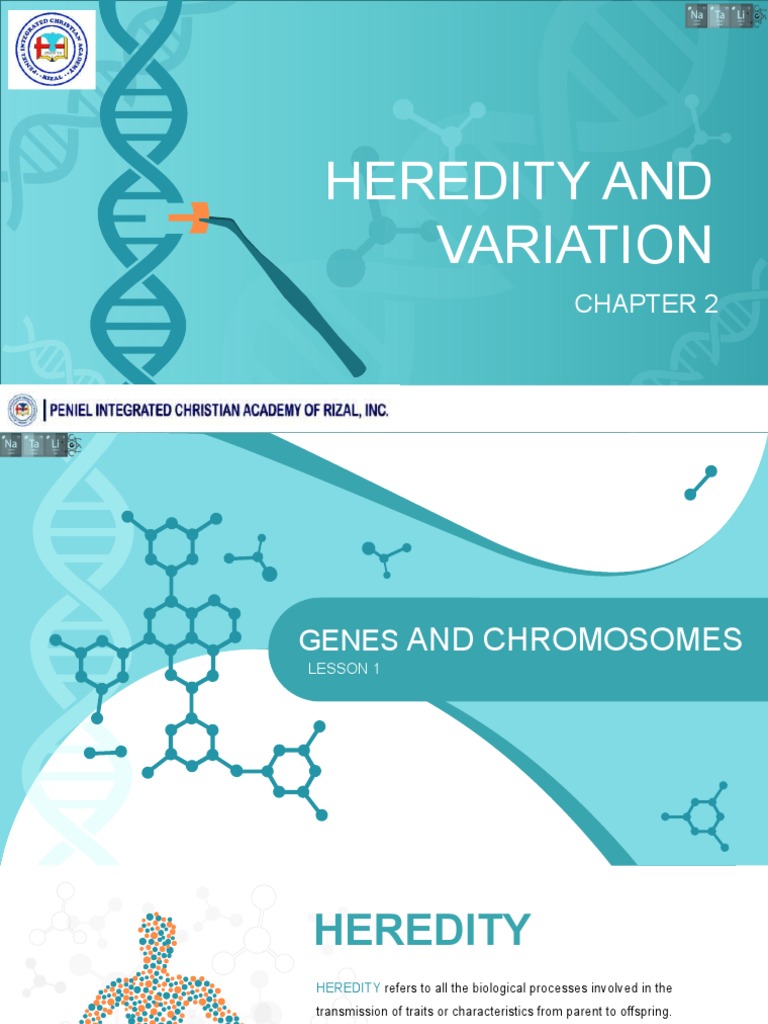 Heredity and Variation Grade 9 | PDF | Dominance (Genetics) | Rna