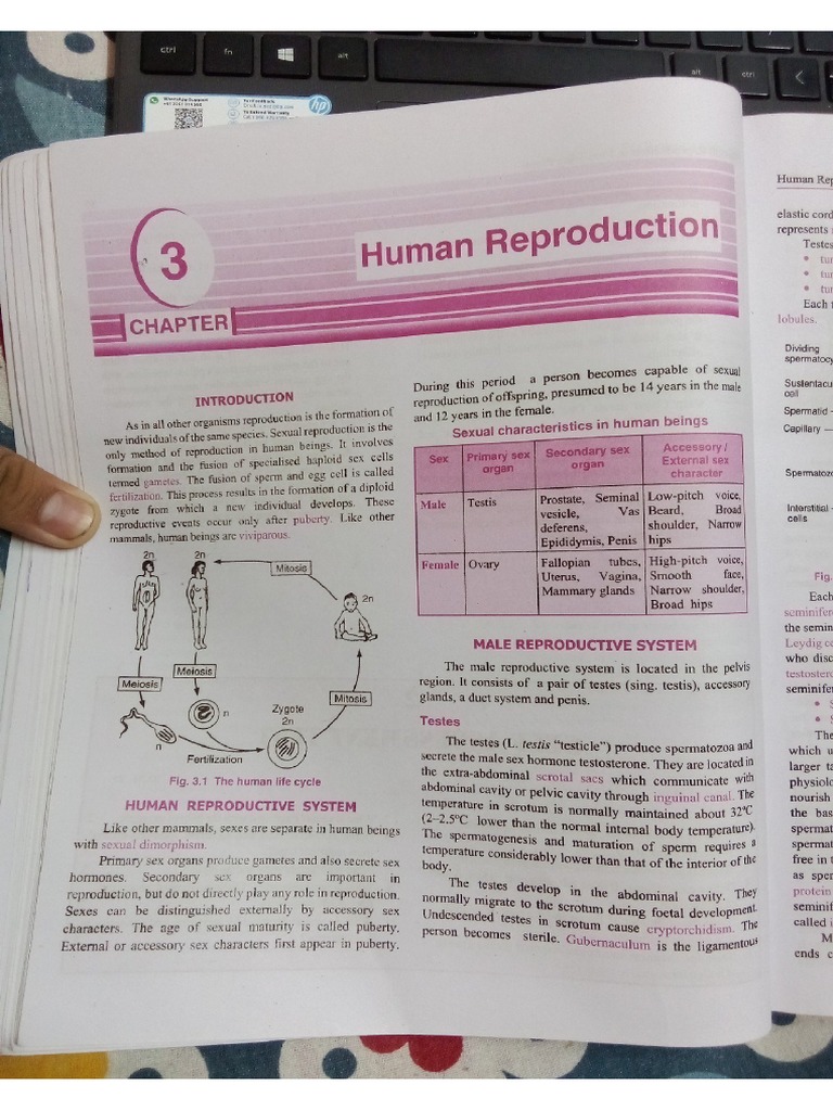 Human Reproduction GRB New Era | PDF