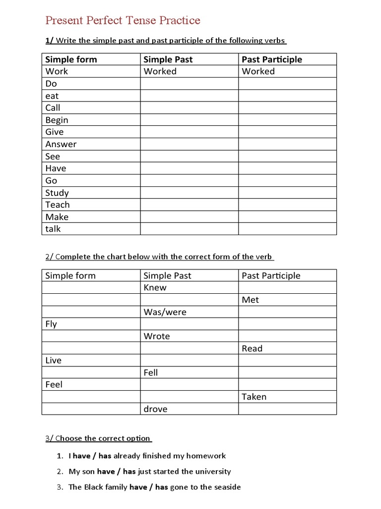 Present Perfect Tense Practice | PDF