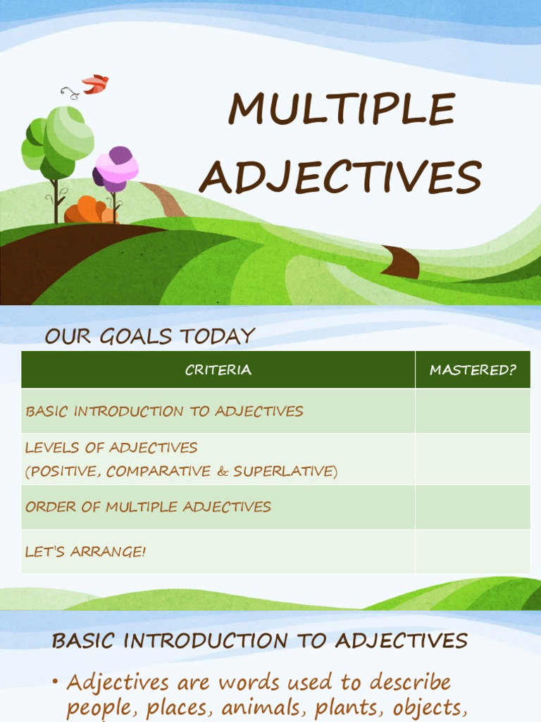 Multiple Adjectives | PDF