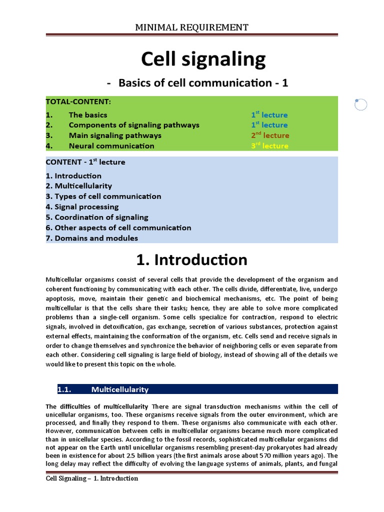 Cell Signaling Basics Guide | PDF | Cell Signaling | Signal Transduction
