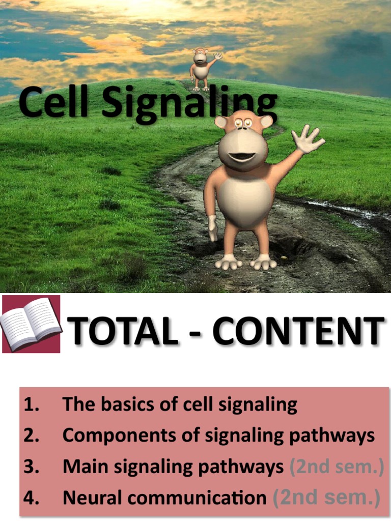 Cell Signaling - General Principles | PDF