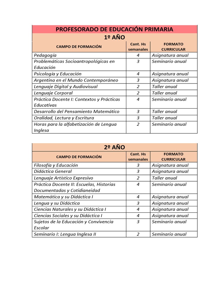 Profesorado de Educacion Primaria - Plan de Estudios | PDF | Educación ...