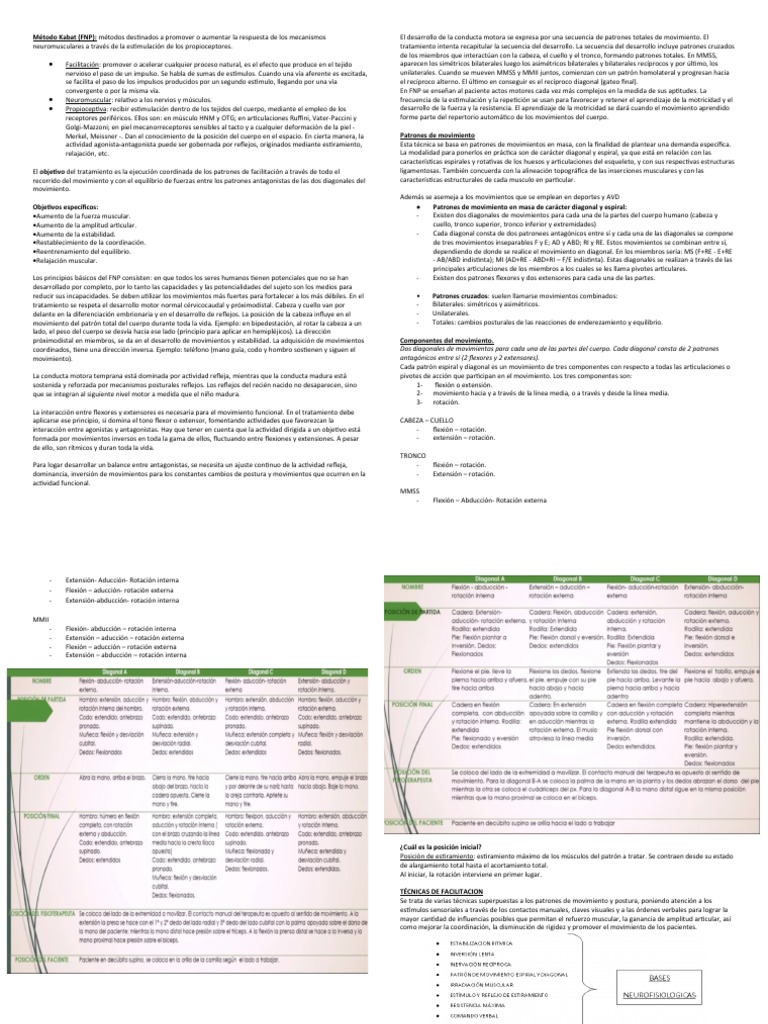 Método Kabat | PDF | Contracción muscular | Músculo