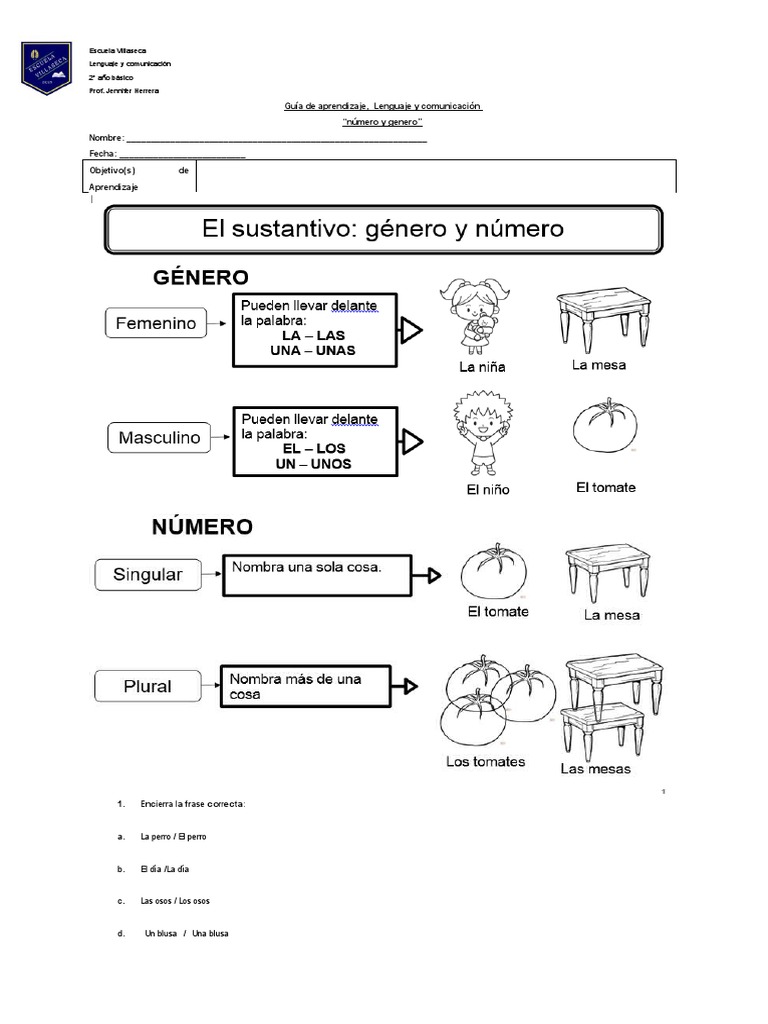 Guia de Genero y Numero | PDF | Artes del Lenguaje y Comunicación
