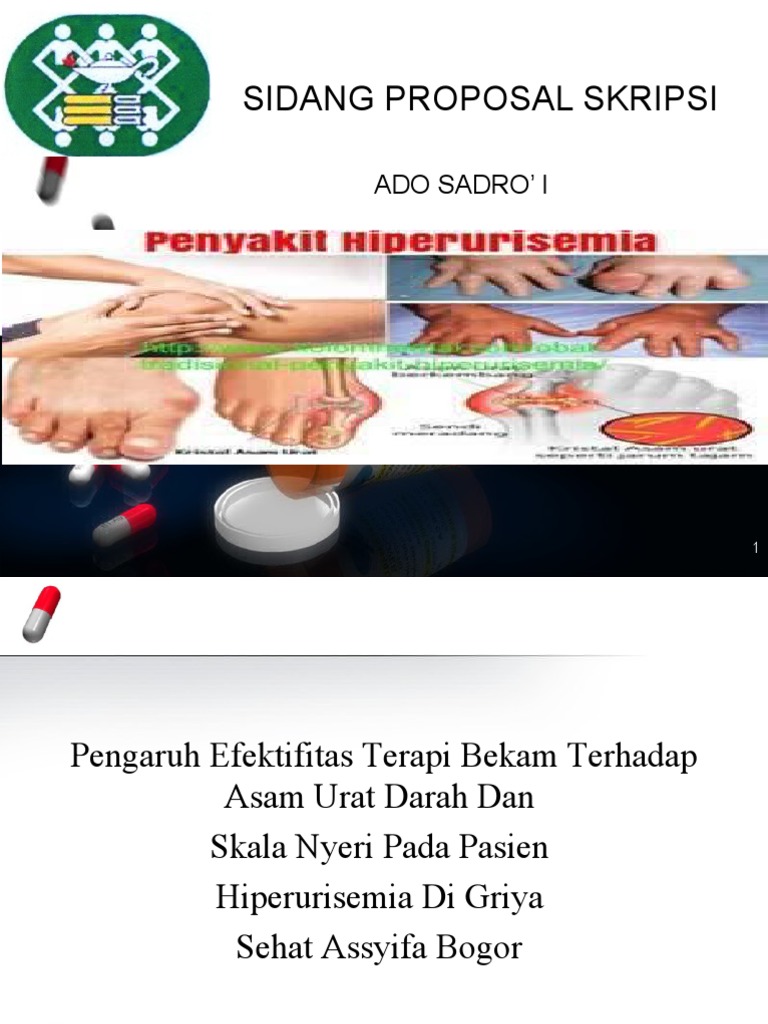 PPT PROPOSAL Hiperurisemia Jumat 22-7-2022 | PDF