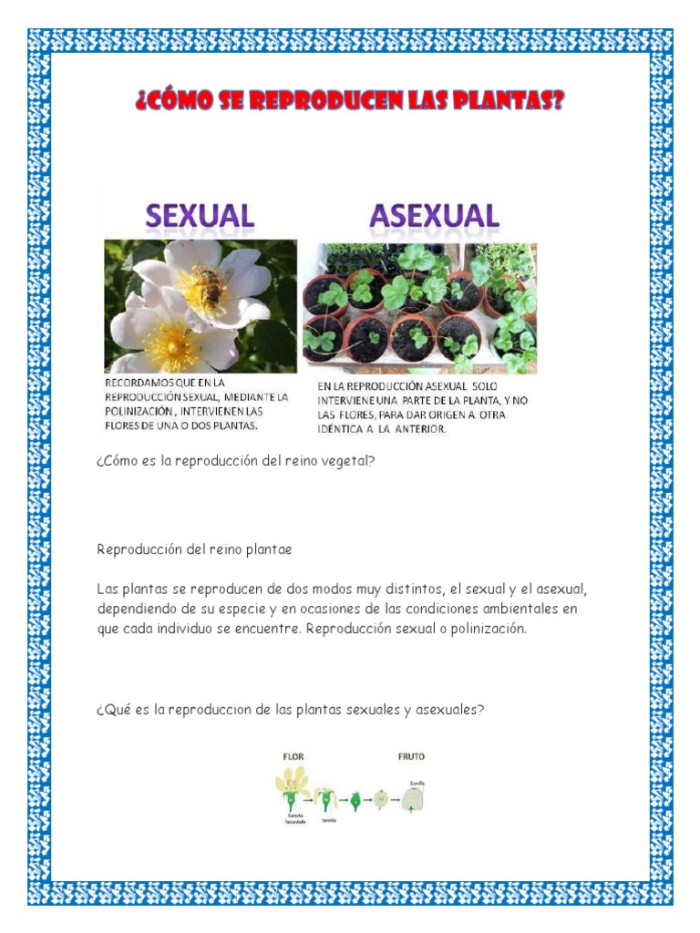 Cómo Se Reproducen Las Plantas | PDF