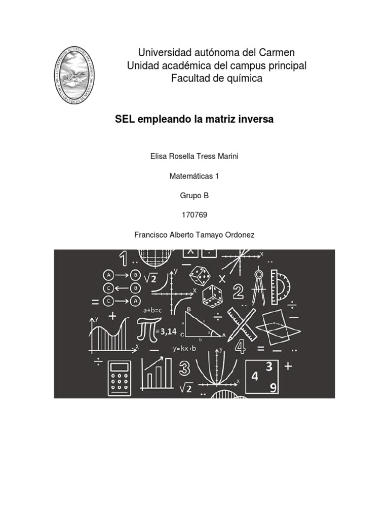Sel Matriz Inversa 170769 Pdf Matriz Matemáticas Determinante
