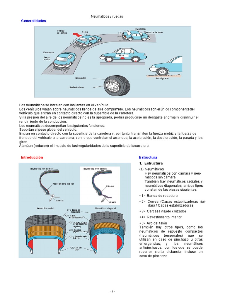Neumaticos(1) | PDF | Neumático | Olas