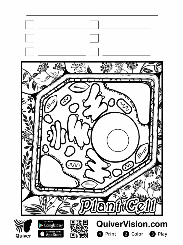 Quiver Plant - Cell - Print | PDF