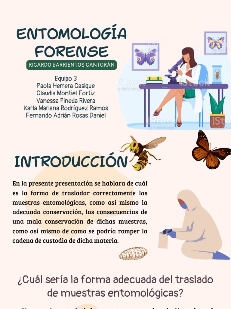 ENTOMOLOGÍA FORENSE | PDF