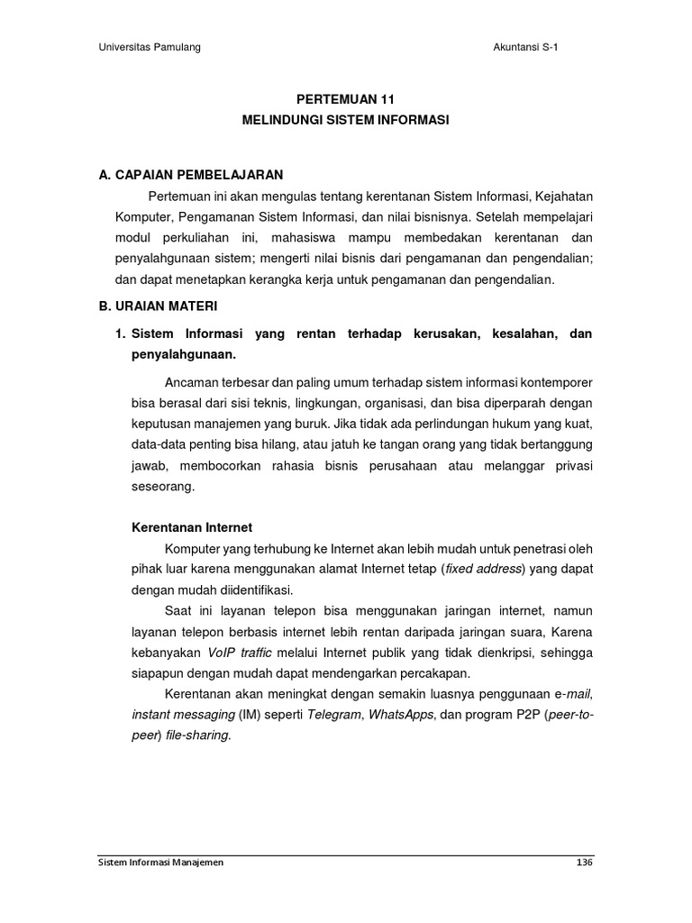 PERTEMUAN 11_MELINDUNGI SISTEM INFORMASI | PDF