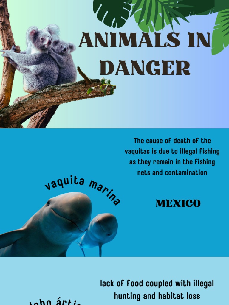 Animals Presentation | PDF