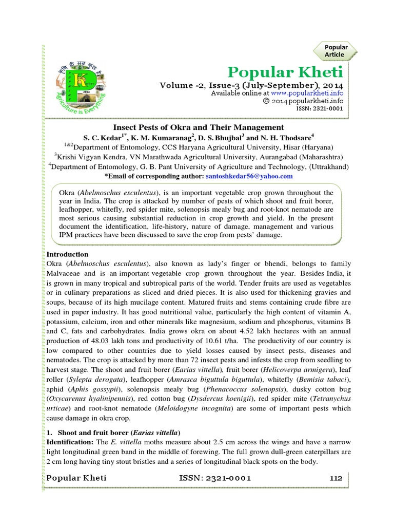 Managing Okra Pest Infestations | PDF | Pest (Organism) | Leaf