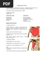 Músculos Do Tórax | PDF | Sistema Locomotor | Anatomia humana