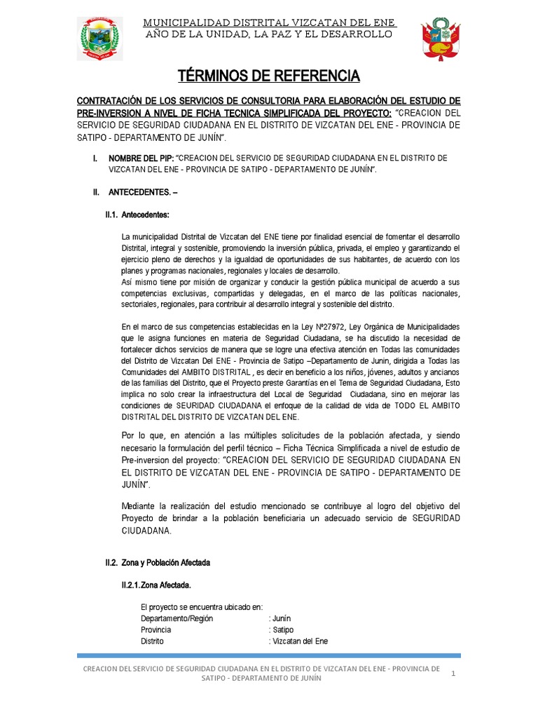Terminos de Referencia (TDR) Consultoria para La Elaboracion Del Estudio de Preinversion A Nivel ...