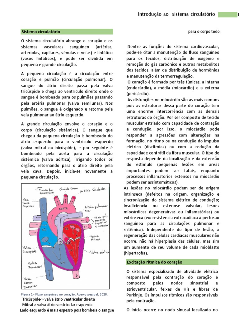 1-Introdução Ao Sistema Circulatório | PDF | Sistema circulatório | Coração
