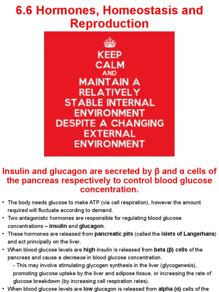 6.6 Hormones Homeostasis and Reproduction Notes | PDF