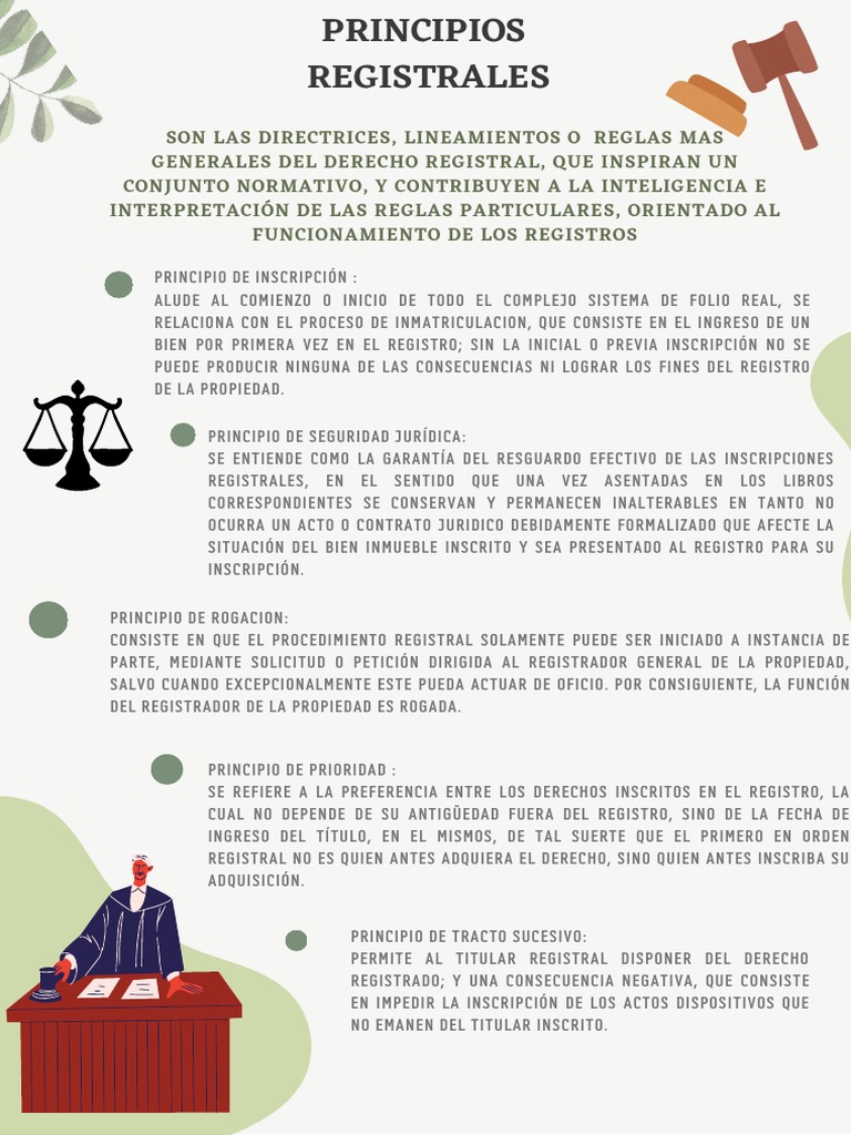 Principios Registrales | PDF | Propiedad | Gobierno