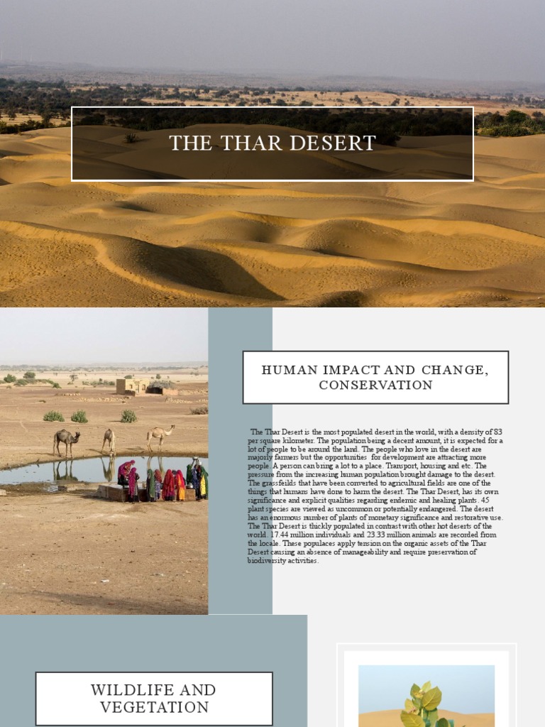 The Thar Desert | PDF | Desert | Natural Environment