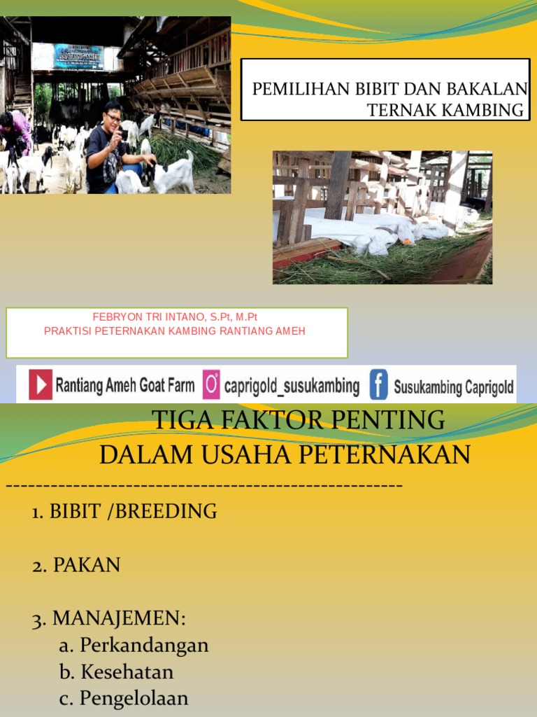 Pemilihan Bakalan Ternak Kambing | PDF
