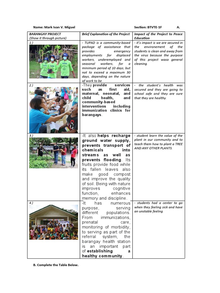 Barangay Project | PDF