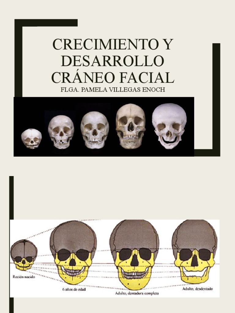 Crecimiento - Craneofacial 2023 | PDF