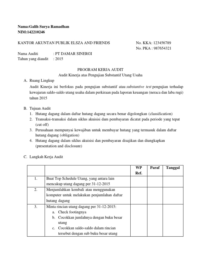 Program Audit | PDF | Bisnis