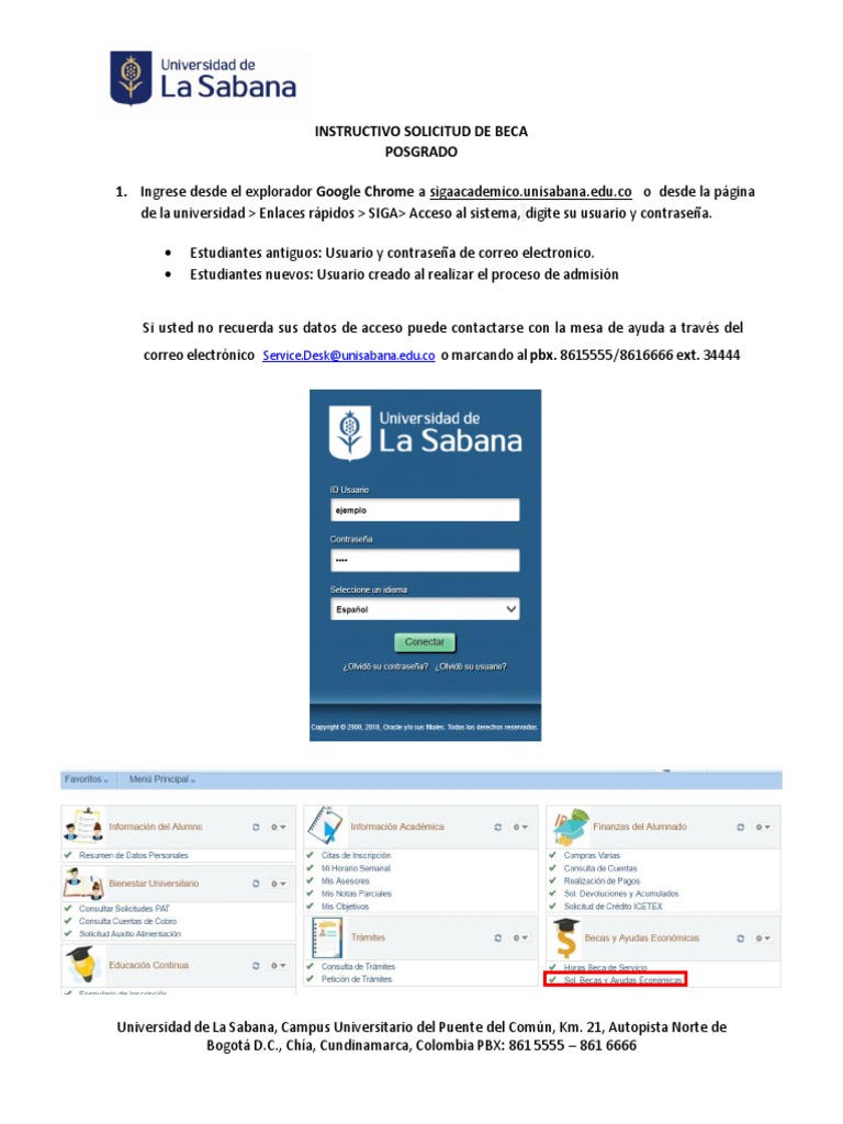 Instructivo Solicitud Beca Posgrado | PDF | Informática