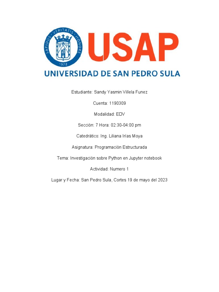 Villela Sandy Informe Python Pdf Python Lenguaje De Programación Lenguaje De Programación 