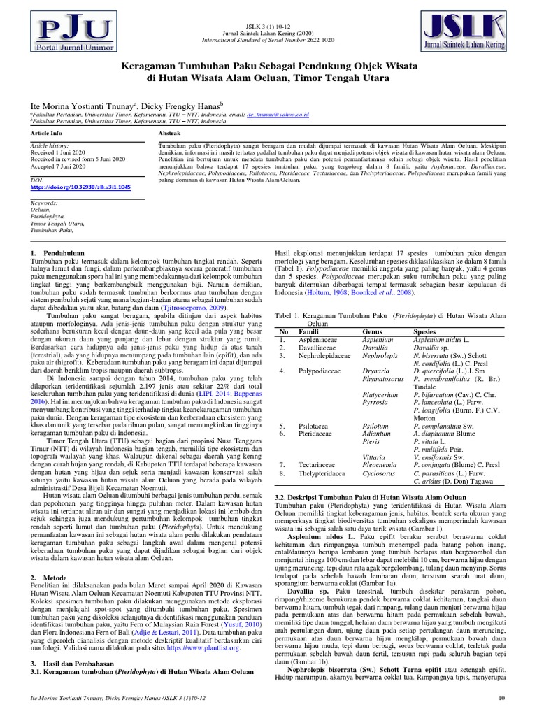 Jurnal | PDF