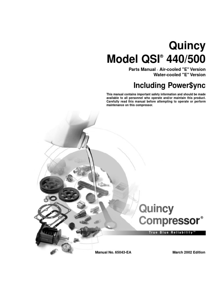 QSI500 | PDF | Valve | Pump
