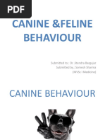 FAS Scale for Veterinary Assessments | PDF | Psychological Concepts ...