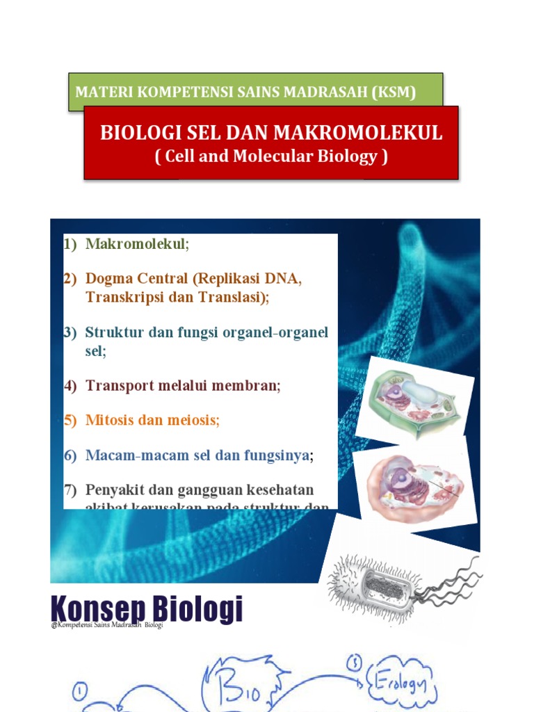 MODUL 1 BIOLOGI SEL DAN MOLEKULER (Cell and Molecular Biology) | PDF