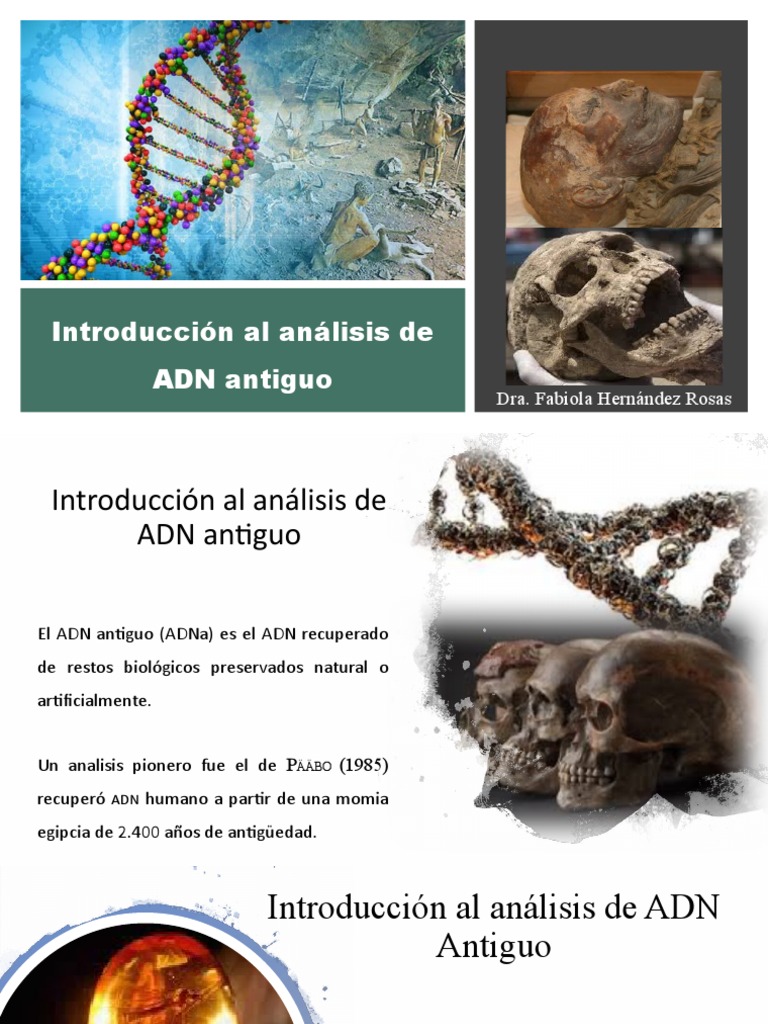 Presentation Forense | PDF | Polimorfismo de nucleótido simple | Adn