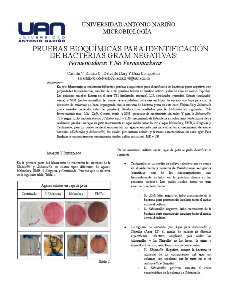 Informe de Pruebas Bioquímicas para Identificación de Bacterias Gram Negativas - Fermentadoras y ...