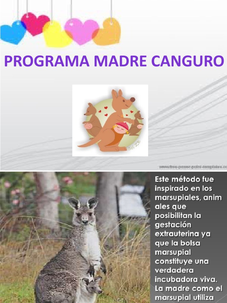 Madre Canguro | PDF | La leche materna | Amamantamiento