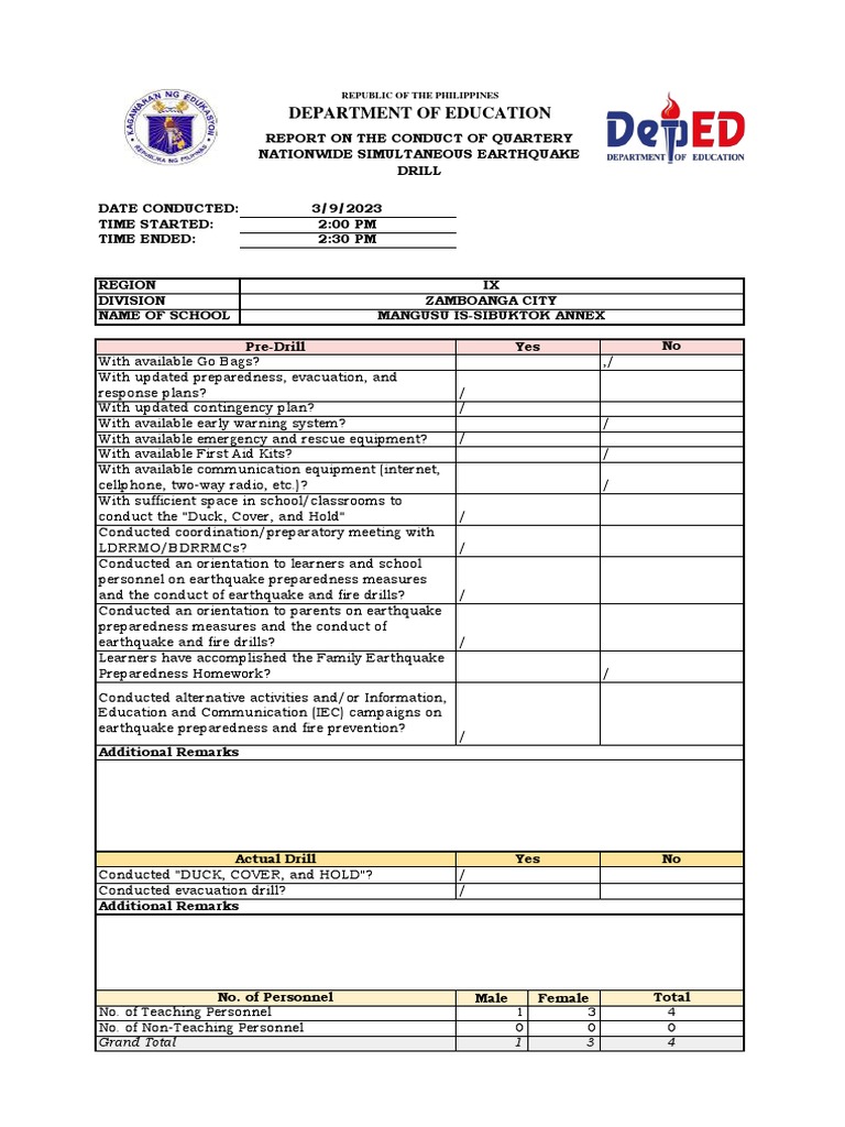 Final - NSED School Reporting Template | PDF | Emergency Management