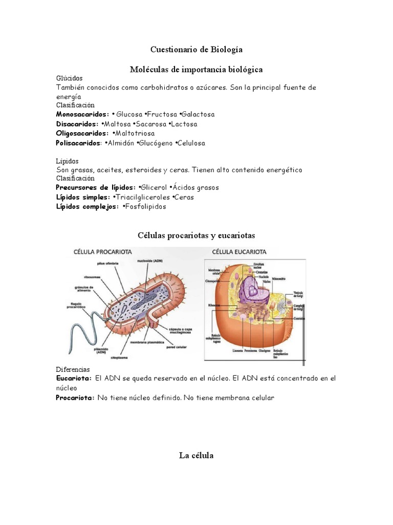 Cuestionario de Biología | PDF
