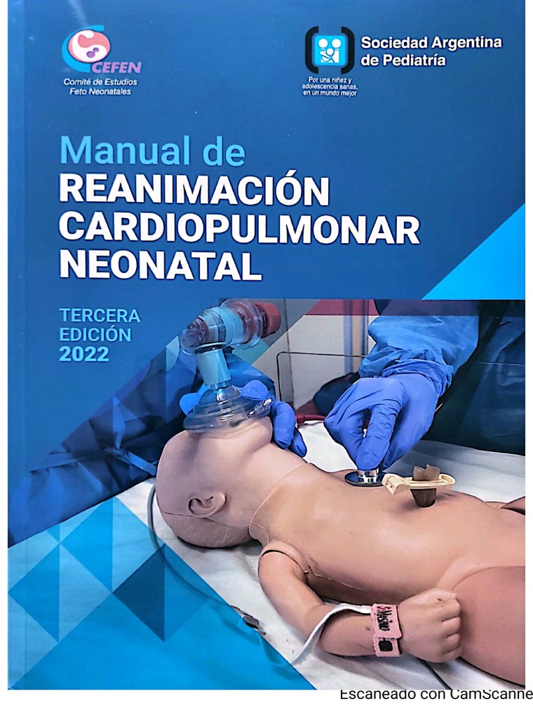 Manual RCP Neo Sap 2022 | PDF