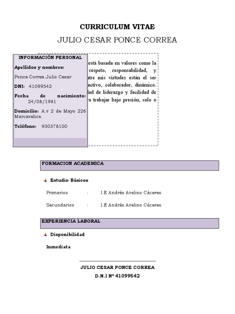 Curriculum Vitae Julio Cesar | PDF