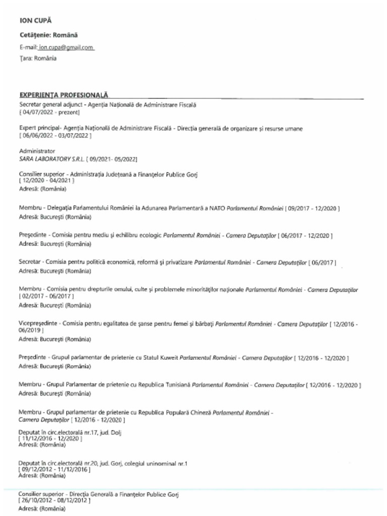 Ion Cupa CV | PDF