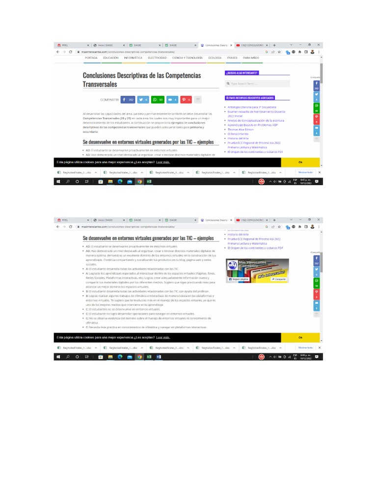 Conclusiones Descriptivas Competencias Transversales | PDF