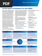 ORSA Report Template Overview | PDF | Risk | Risk Management