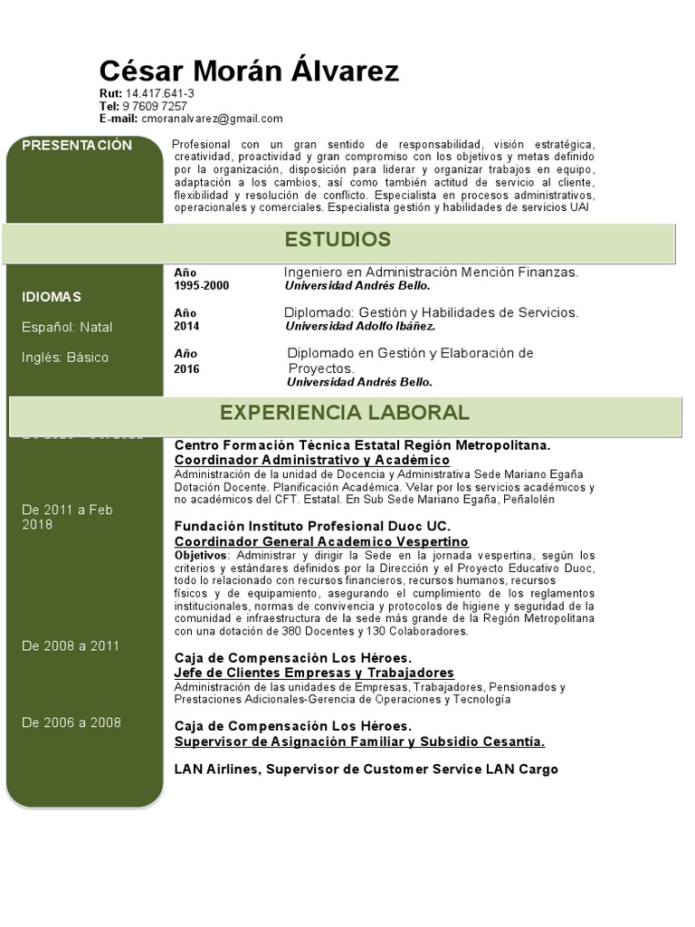 CV Cesar Moran Alvarez | PDF
